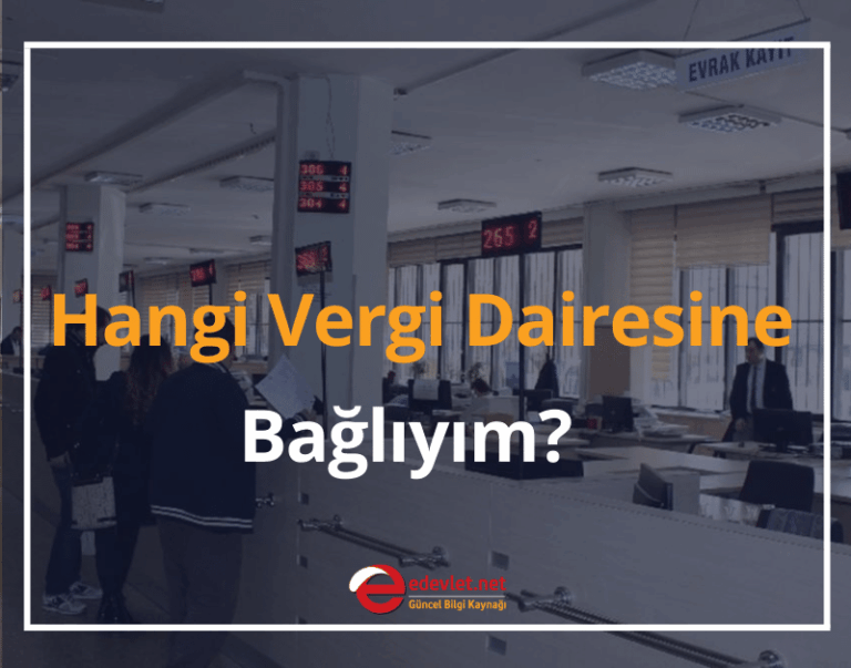Hangi Vergi Dairesine Bağlıyım? 2024 İnteraktif Vergi Dairesi - eDevlet.net